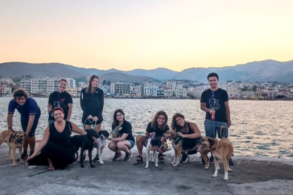 Team Greek America: Support George Moulos' March Across Greece - Greek ...